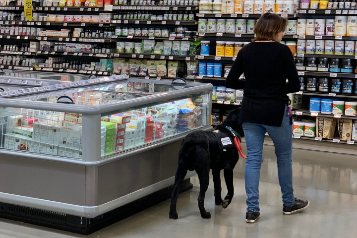 Service Dogs - The Dog Alliance