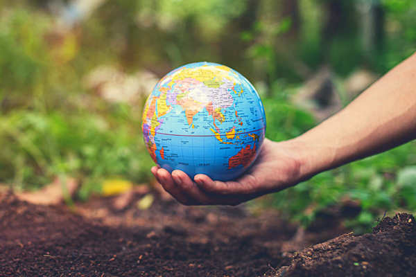 Training Resources - Strong & Herd LLP